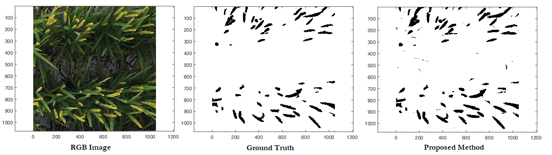 image segmentation deep learning